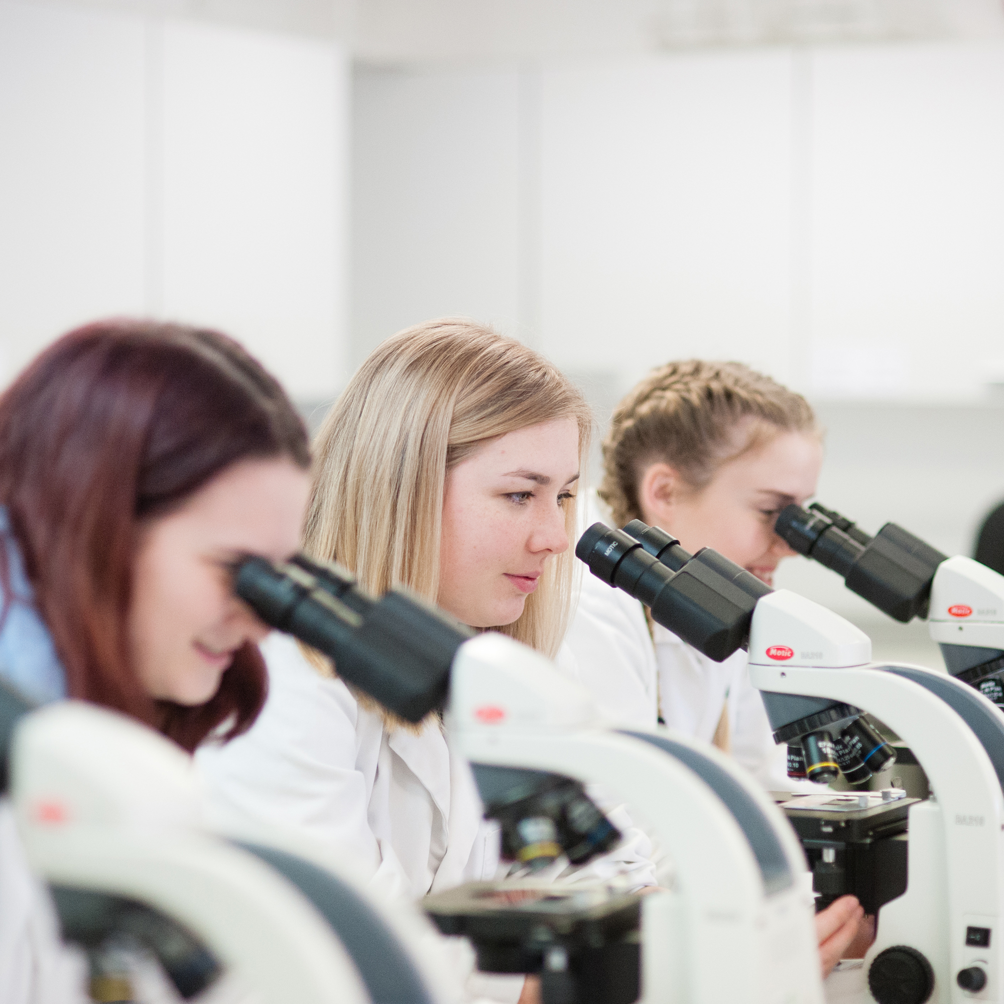 Ecology and Environmental Science BSc (Hons) - University of ...