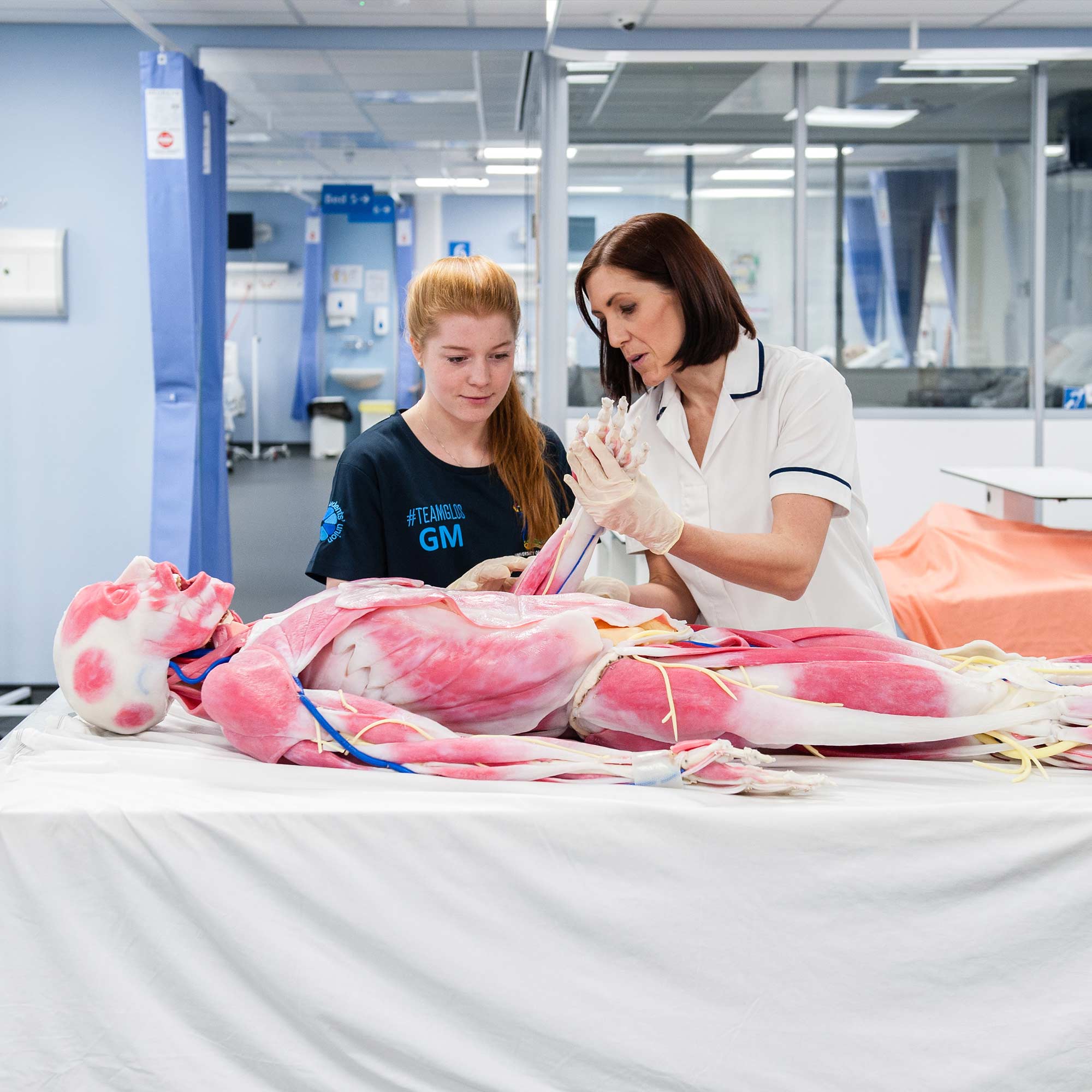 Physiotherapy BSc (Hons) - University of Gloucestershire