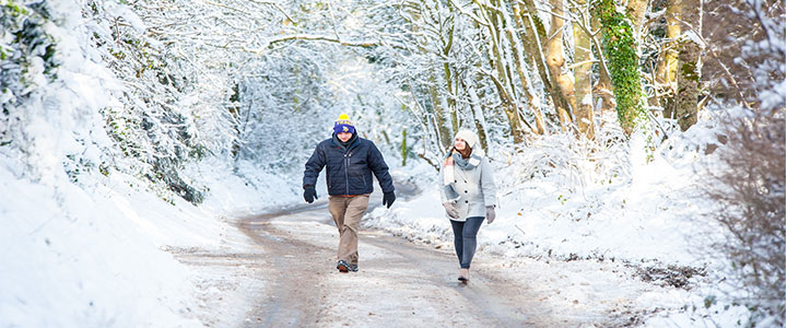 How does the natural world deal with the onset of winter? Join a winter ...