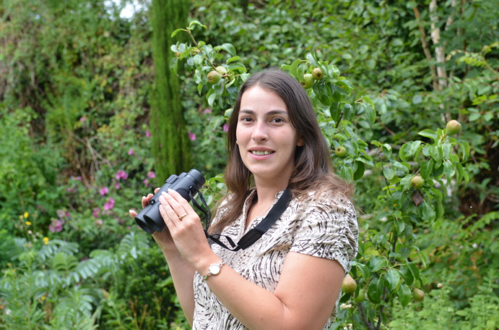 Bird bird behaviour expert discusses real-life event that inspired ...