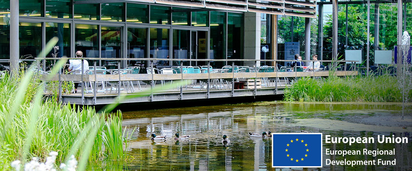 Rewilding to increase biodiversity between Oxstalls and Plock Court ...